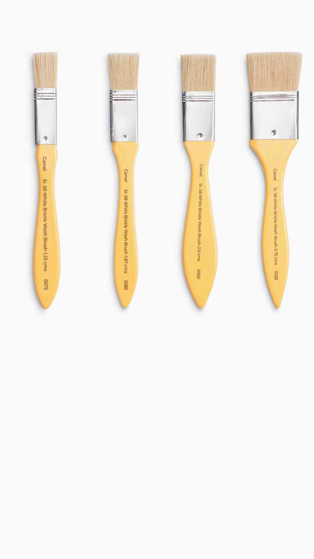 A Guide to Paint Brushes: Types & Uses for Artists