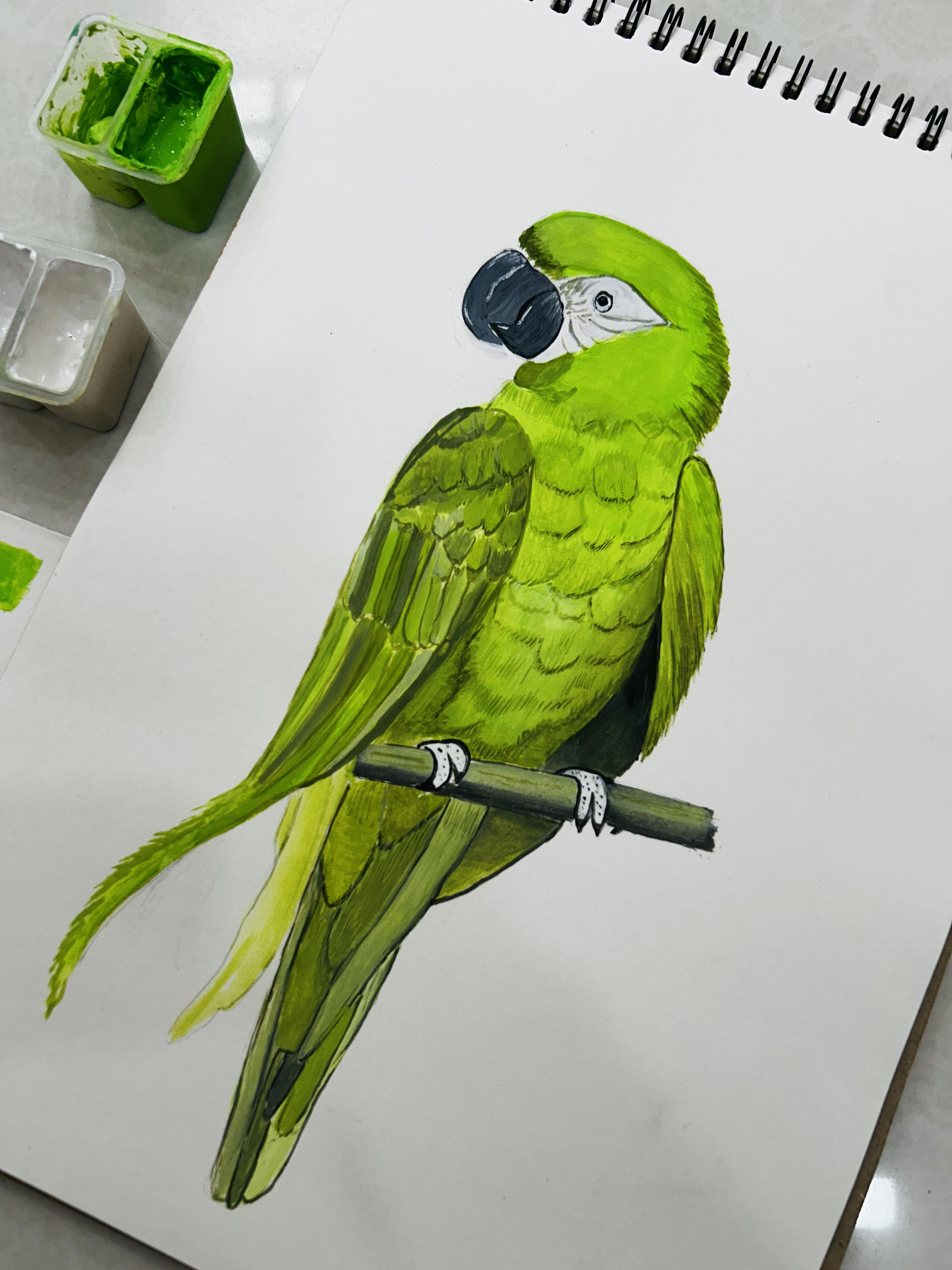 Mandeep Kaur - Gouache artist