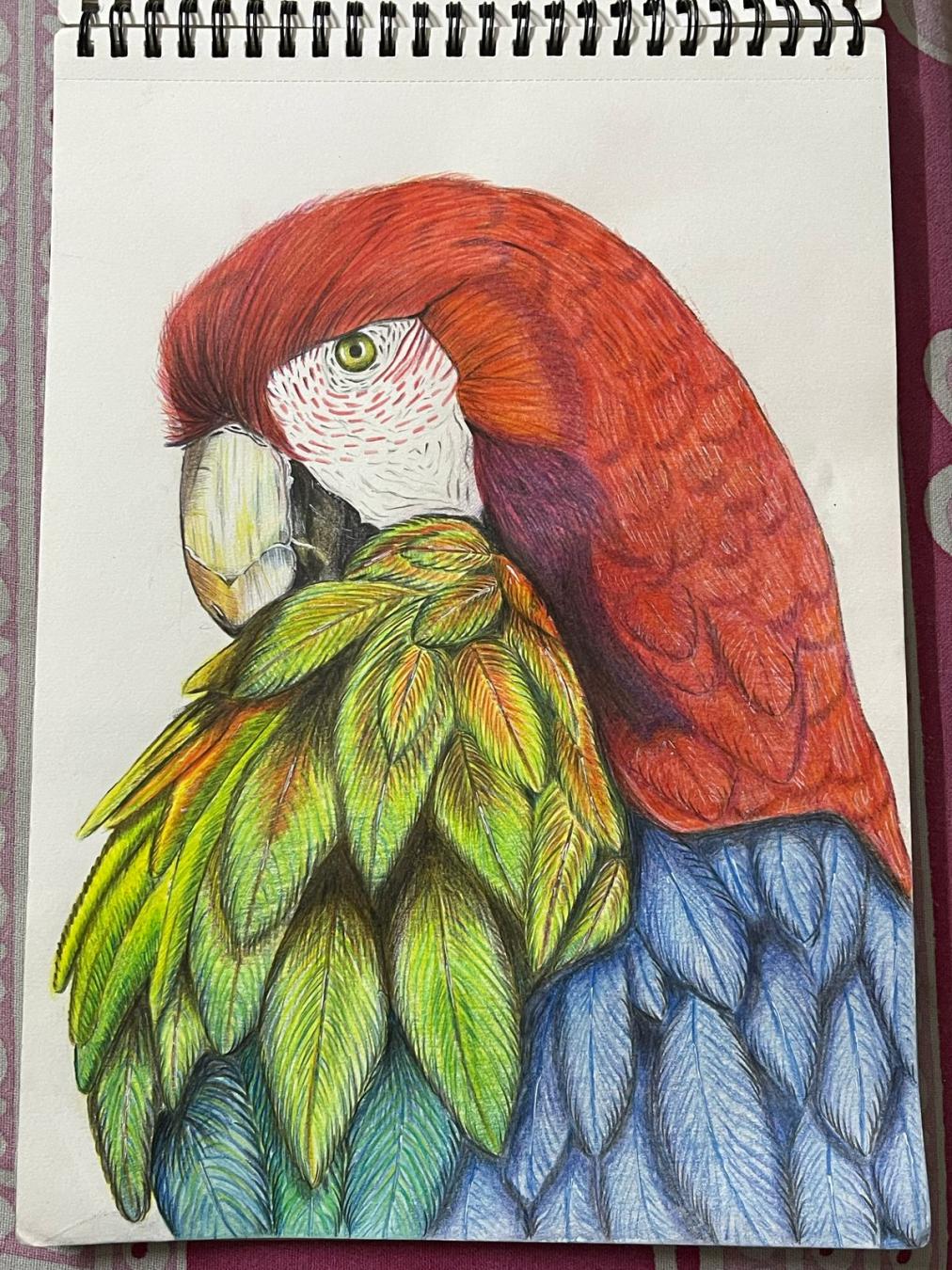 Majestic Makow: A Symphony of Colors created by Reetisha Das