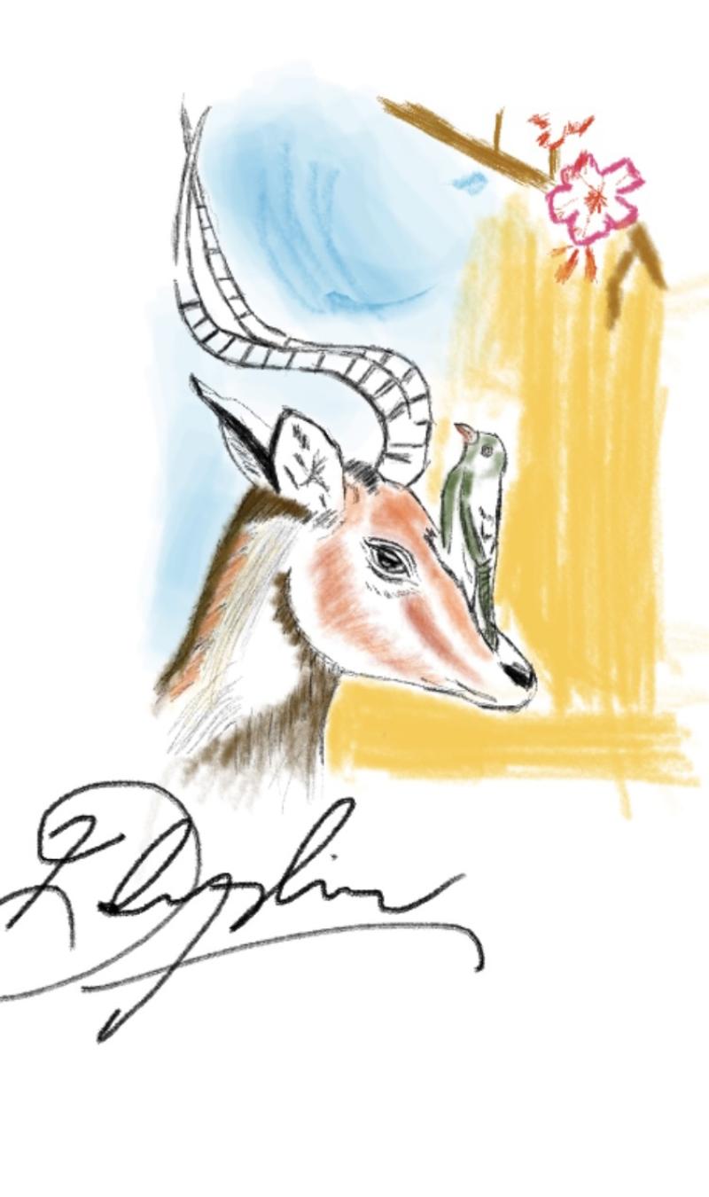 Buck- bird created by Dolphin