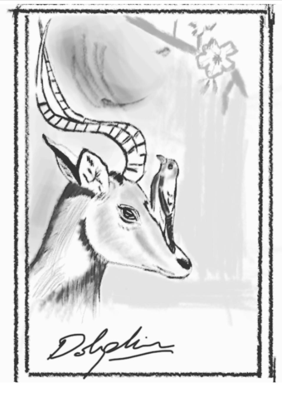 Buck- bird created by Dolphin