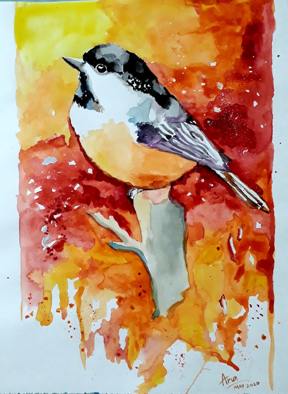 Bird series 1 created by Arun Gupta