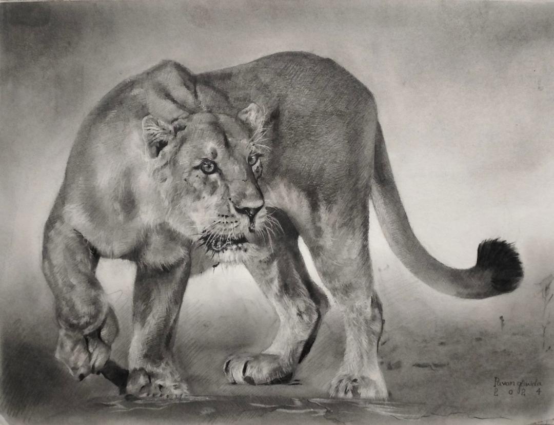 "Graceful Vigilance". created by Pavan gowda