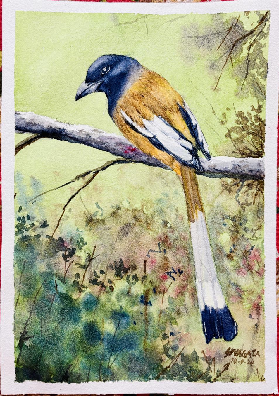 Nature created by Swagata Dey