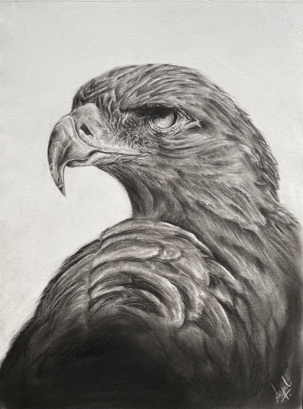 Eagle created by Sejal Mehta