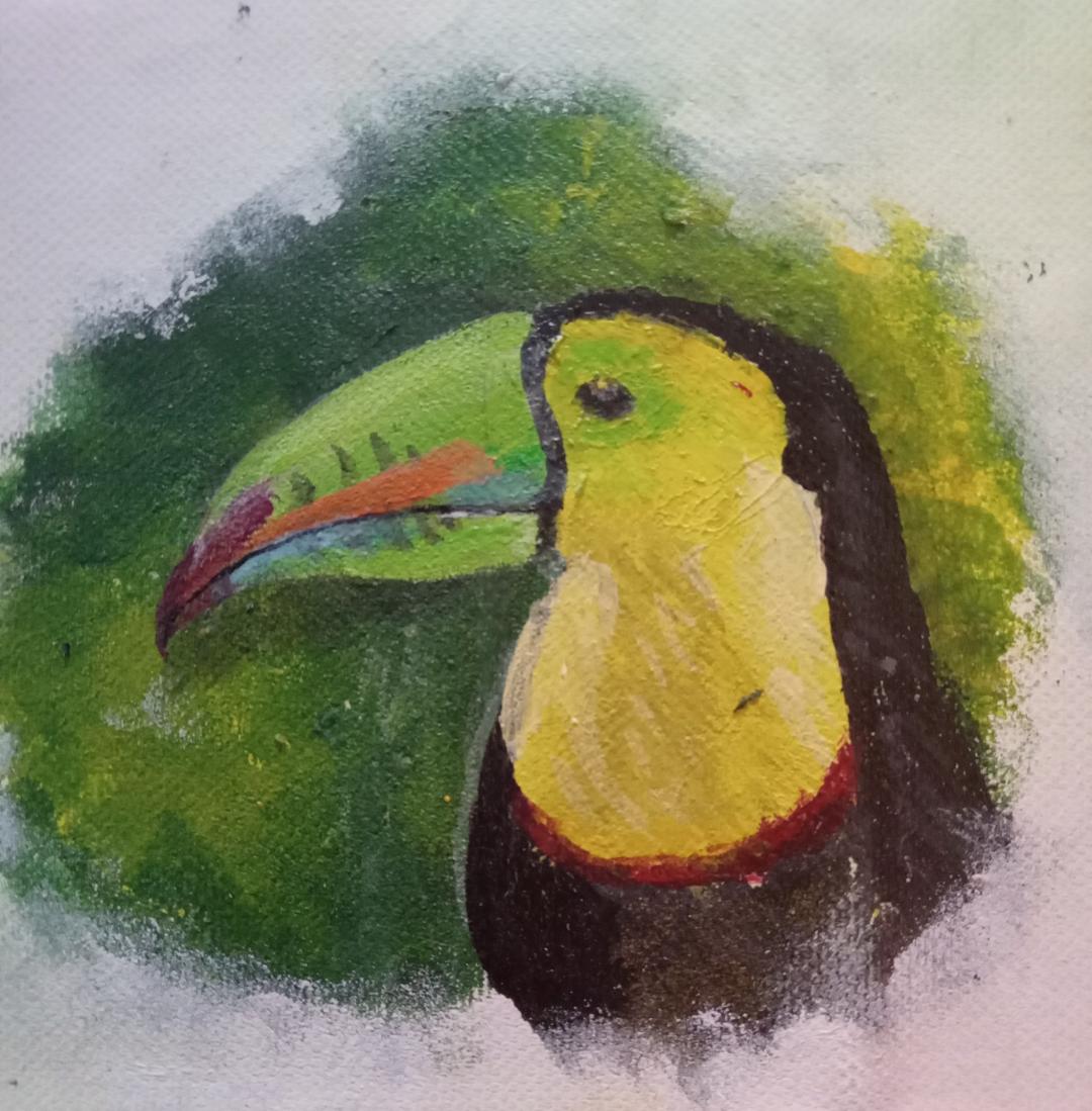 Keel-Billed Toucan created by Srishti Mahitha