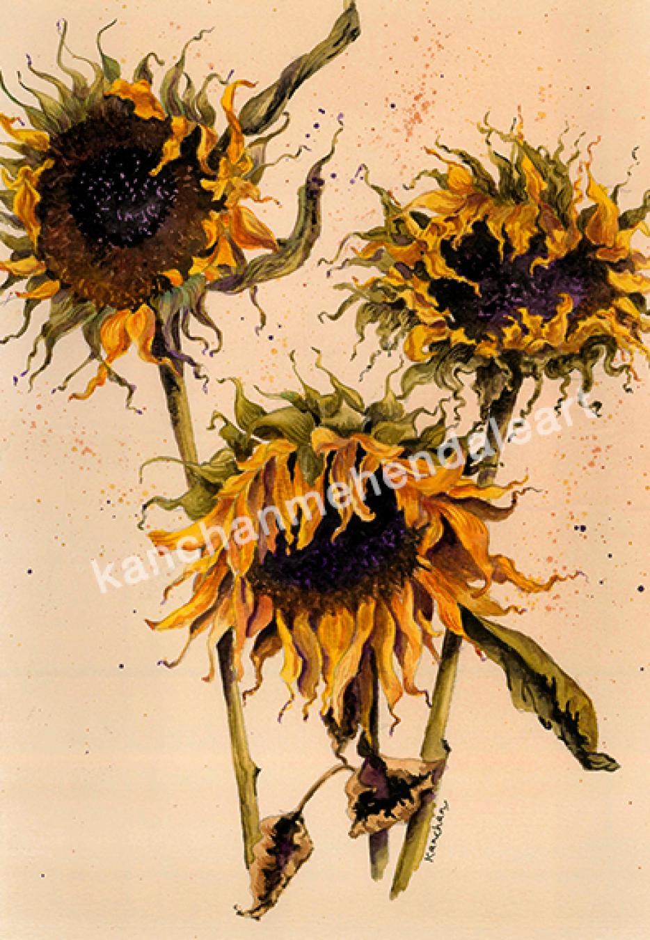 Withered Sunflowers created by Kanchan Mehendale