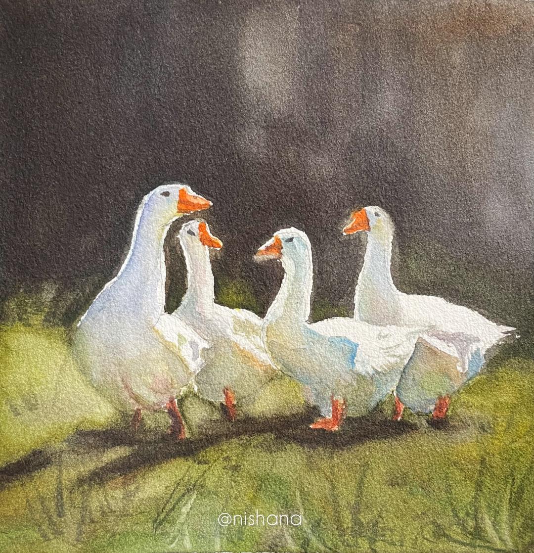 Ducks painting in watercolour created by Nishana