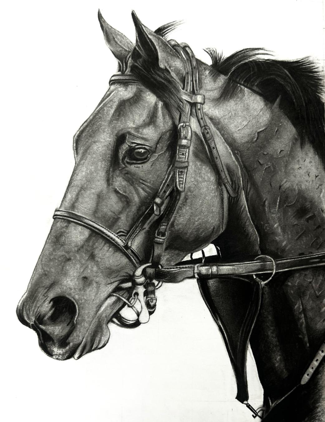Black horse created by Sunil Goyal