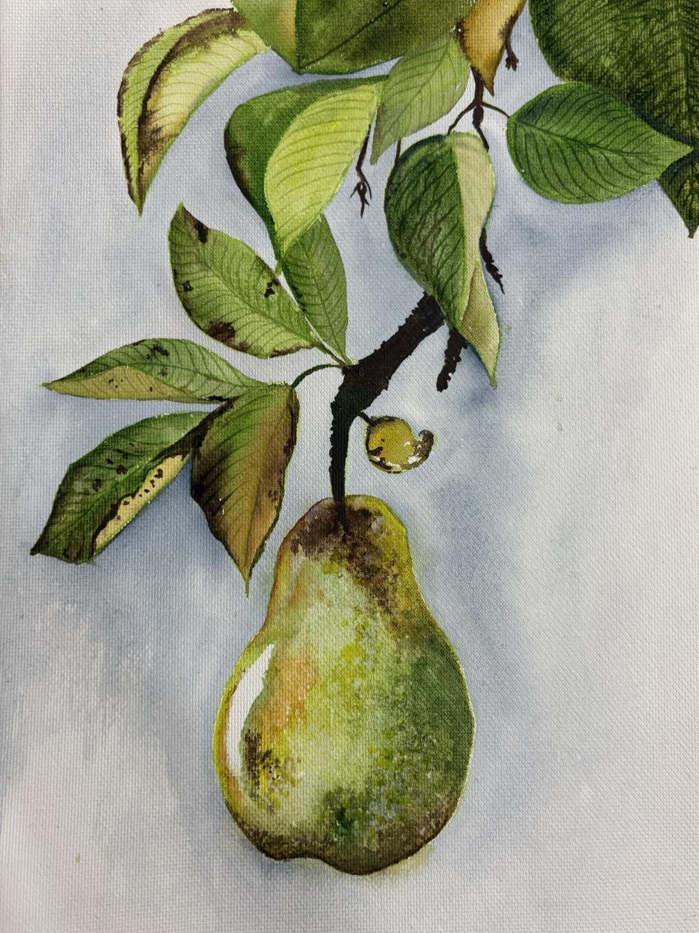 Nashpati created by Prabhawana Shailesh