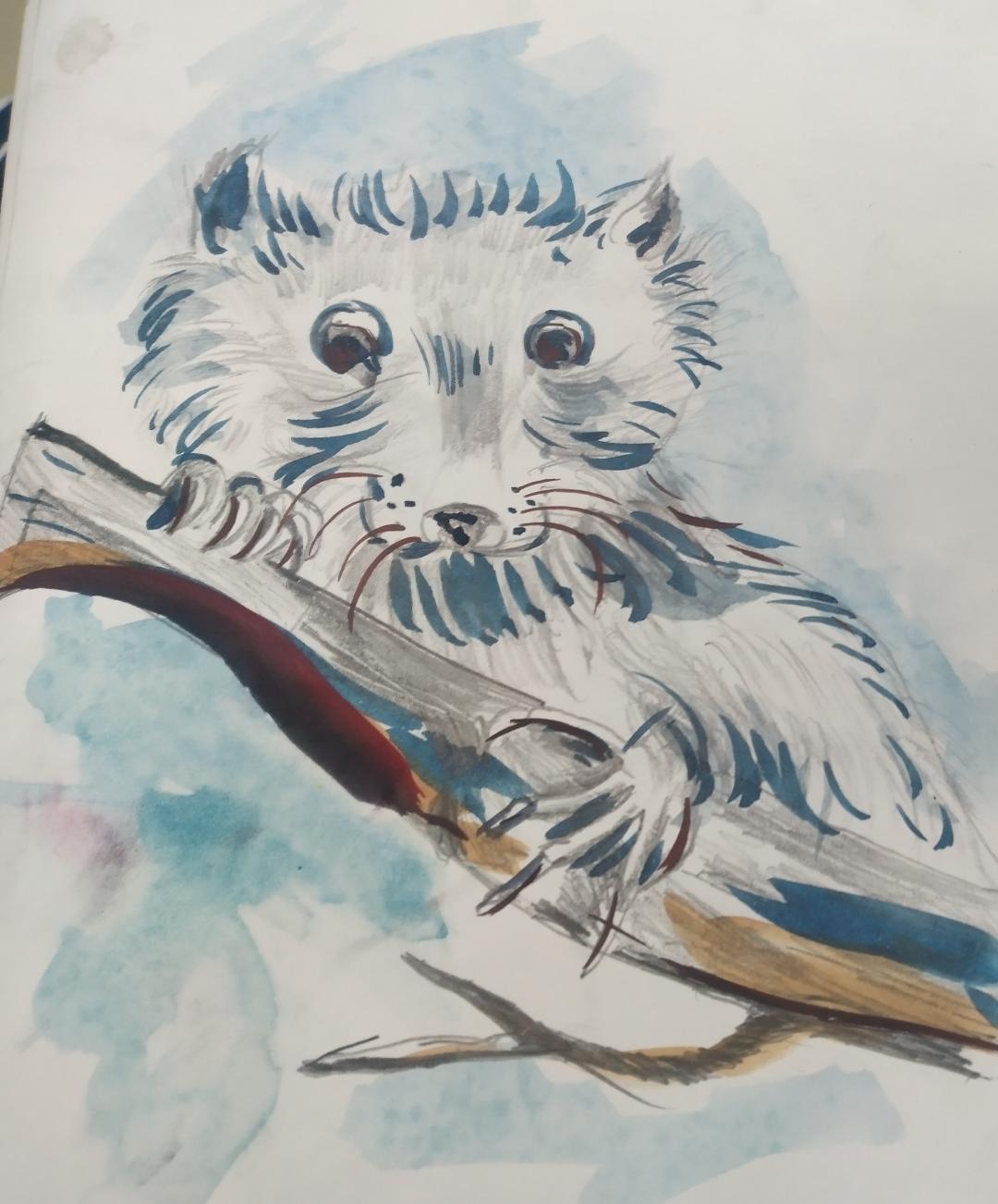 Kuala and cheetah created by Aishik Roy