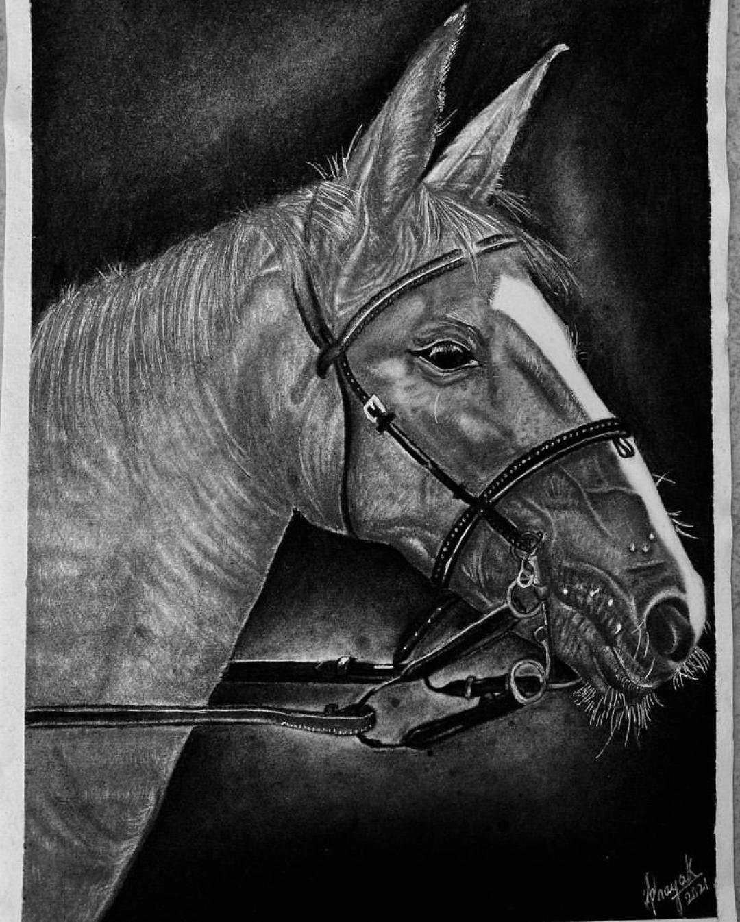 The horse hedge created by PRIYANSI NAYAK