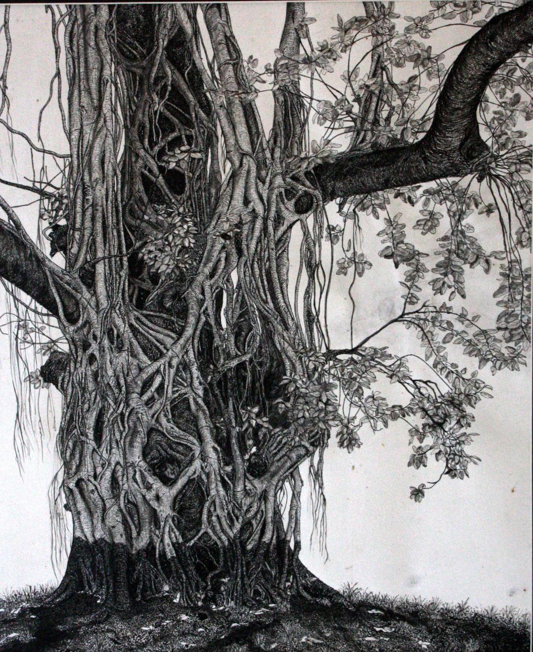Tree study created by sampurna pal