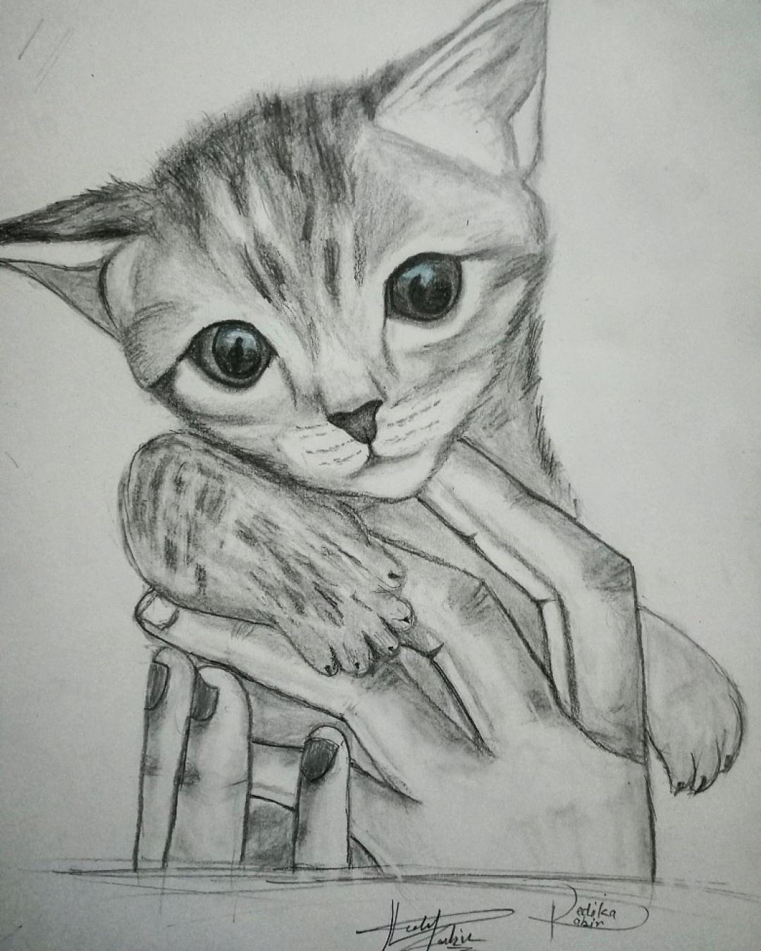 Pencil sketch, color drawing, painting, charcoal drawing created by ...