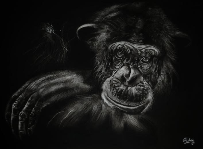 The chimpanzee created by Rohan Panda