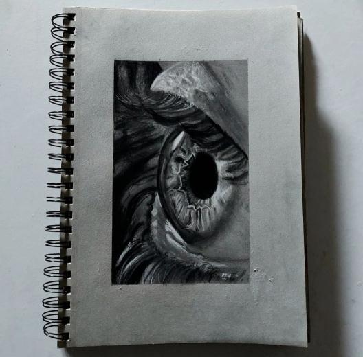 Graphite, Charcoal and oil paintinv created by Diana francis