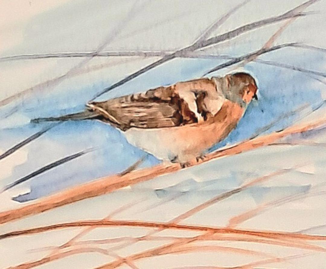 Sparrow created by Alok Roy