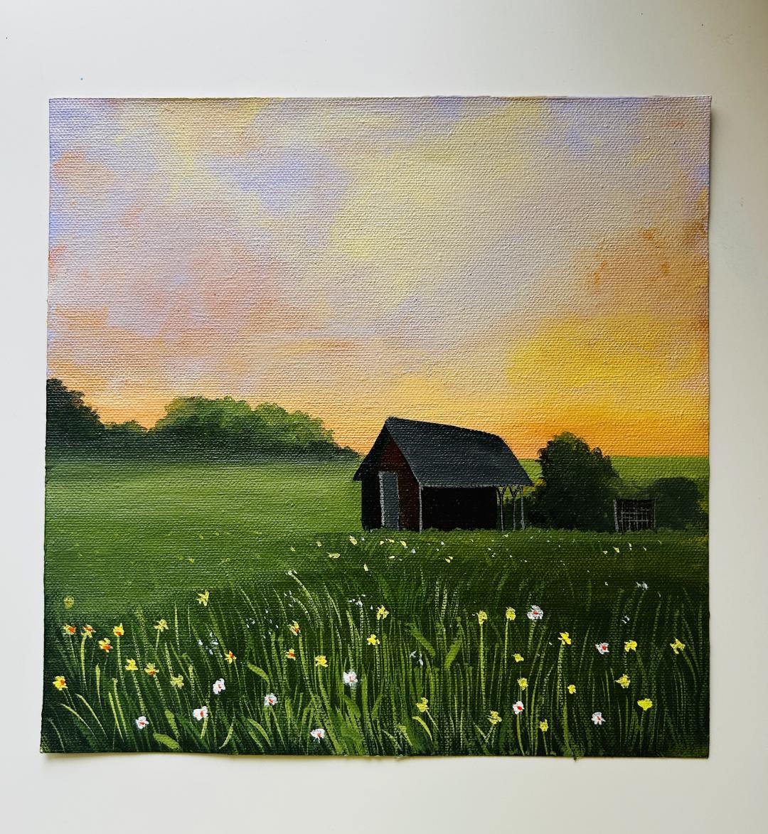 Twilight Fields created by Arooshi Mathur