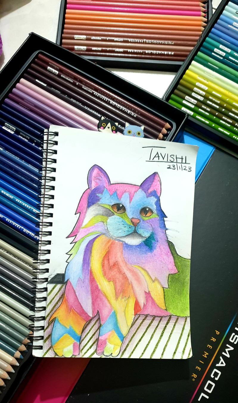 Colours and emotions created by Tavishi sen