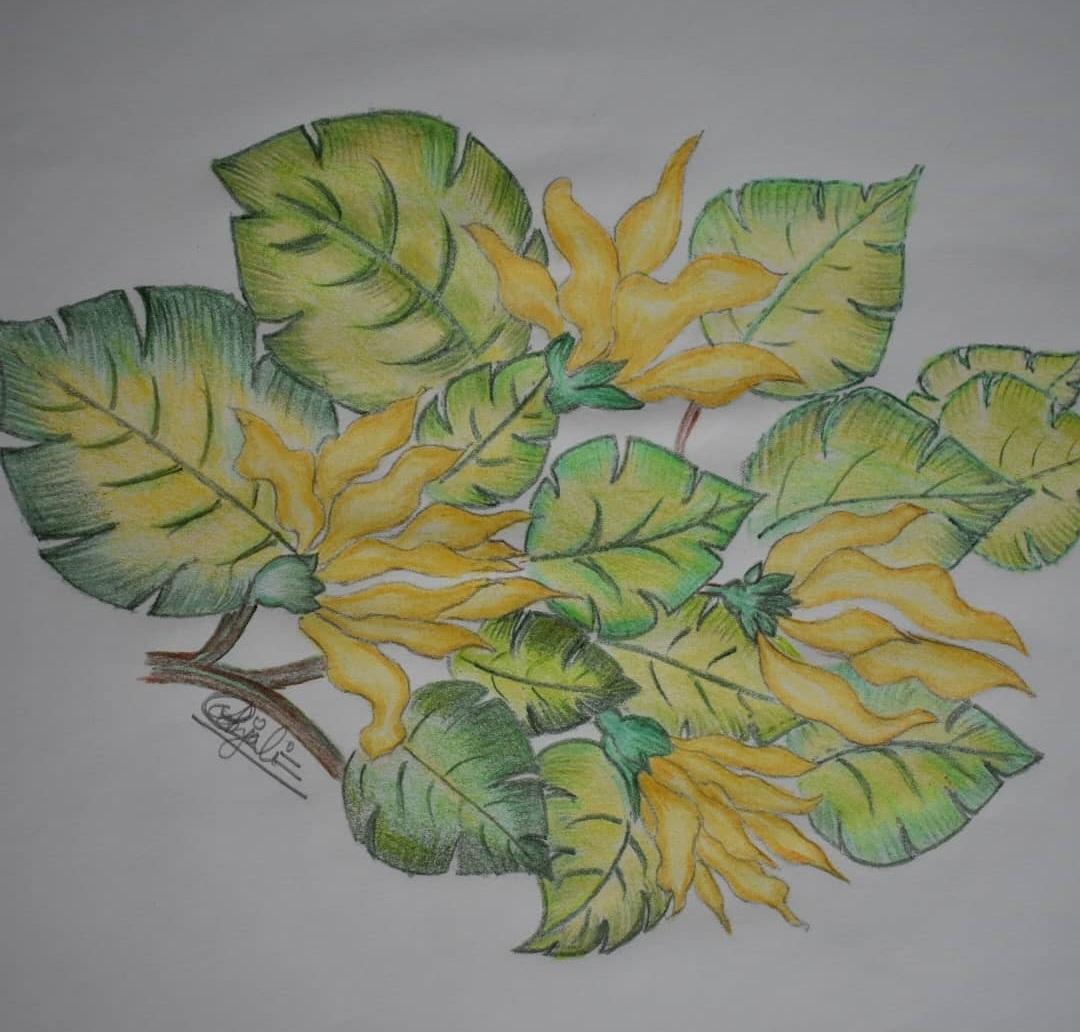 Floral chembaka created by Chithranjali Chandrasekharan