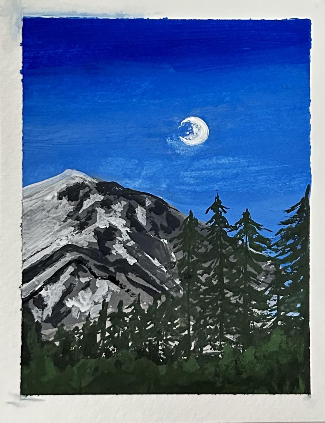 Mountains created by Komal Rajpal