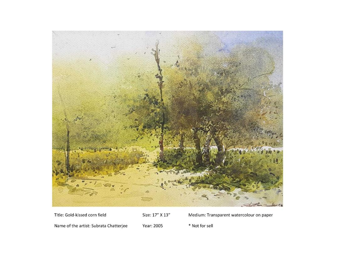 Gold kissed corn field created by Subrata Chatterjee