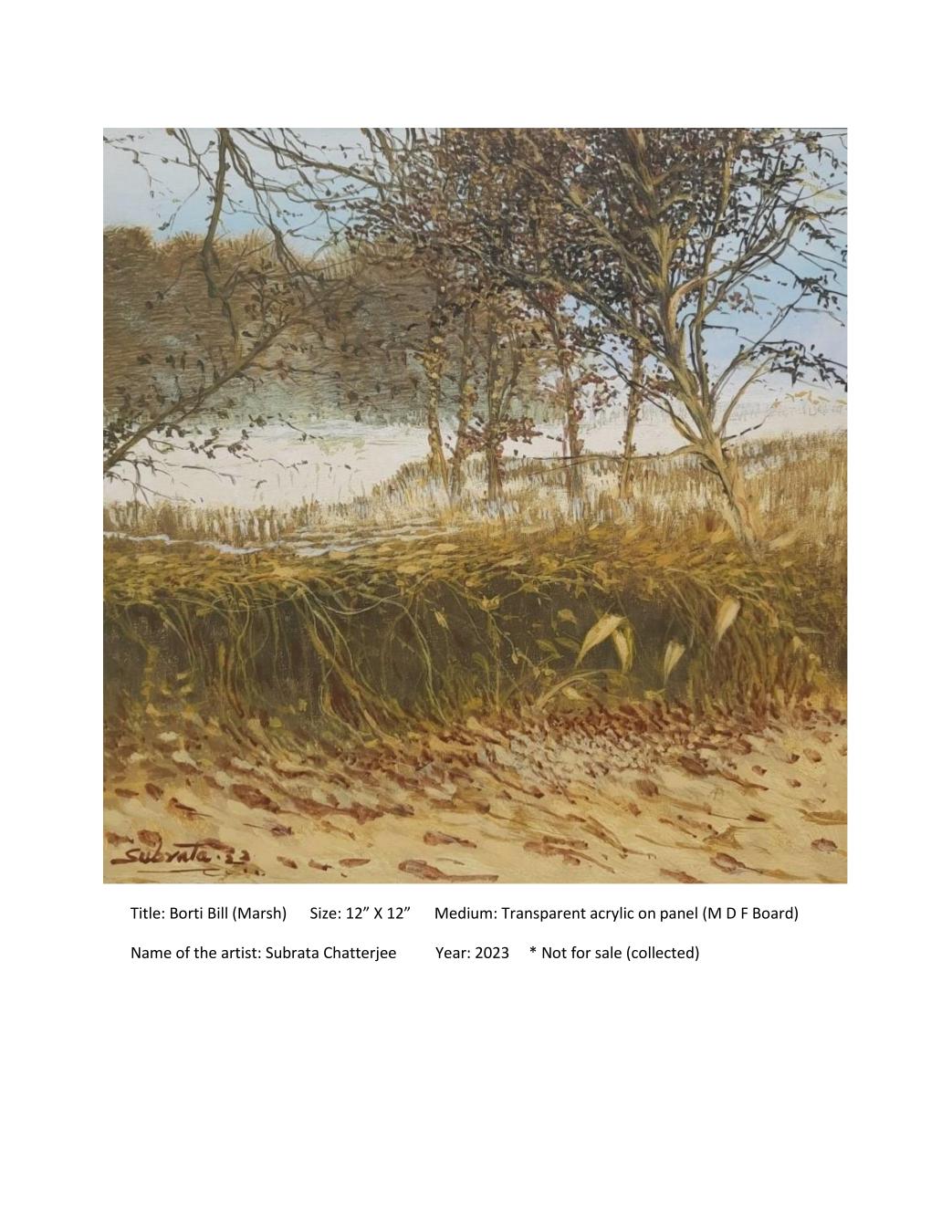 Borti Bill (Marsh) created by Subrata Chatterjee