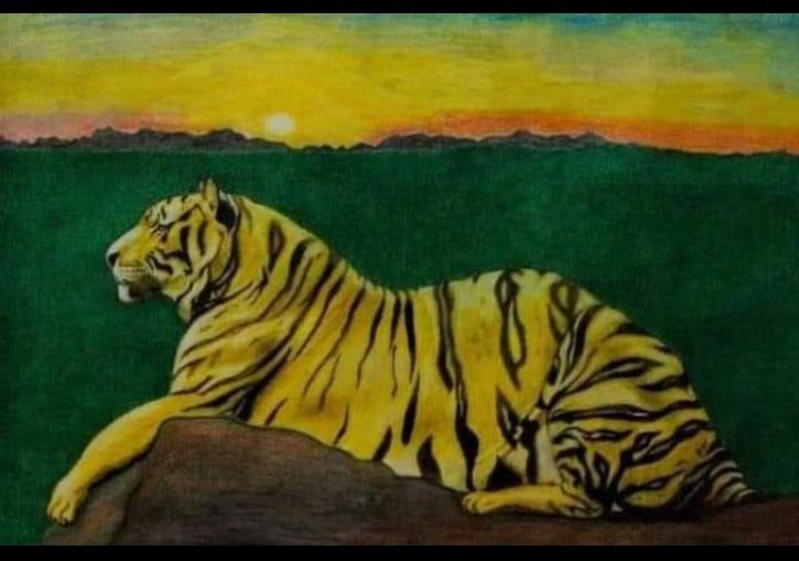 Color pencil sketches created by Nature Vlog