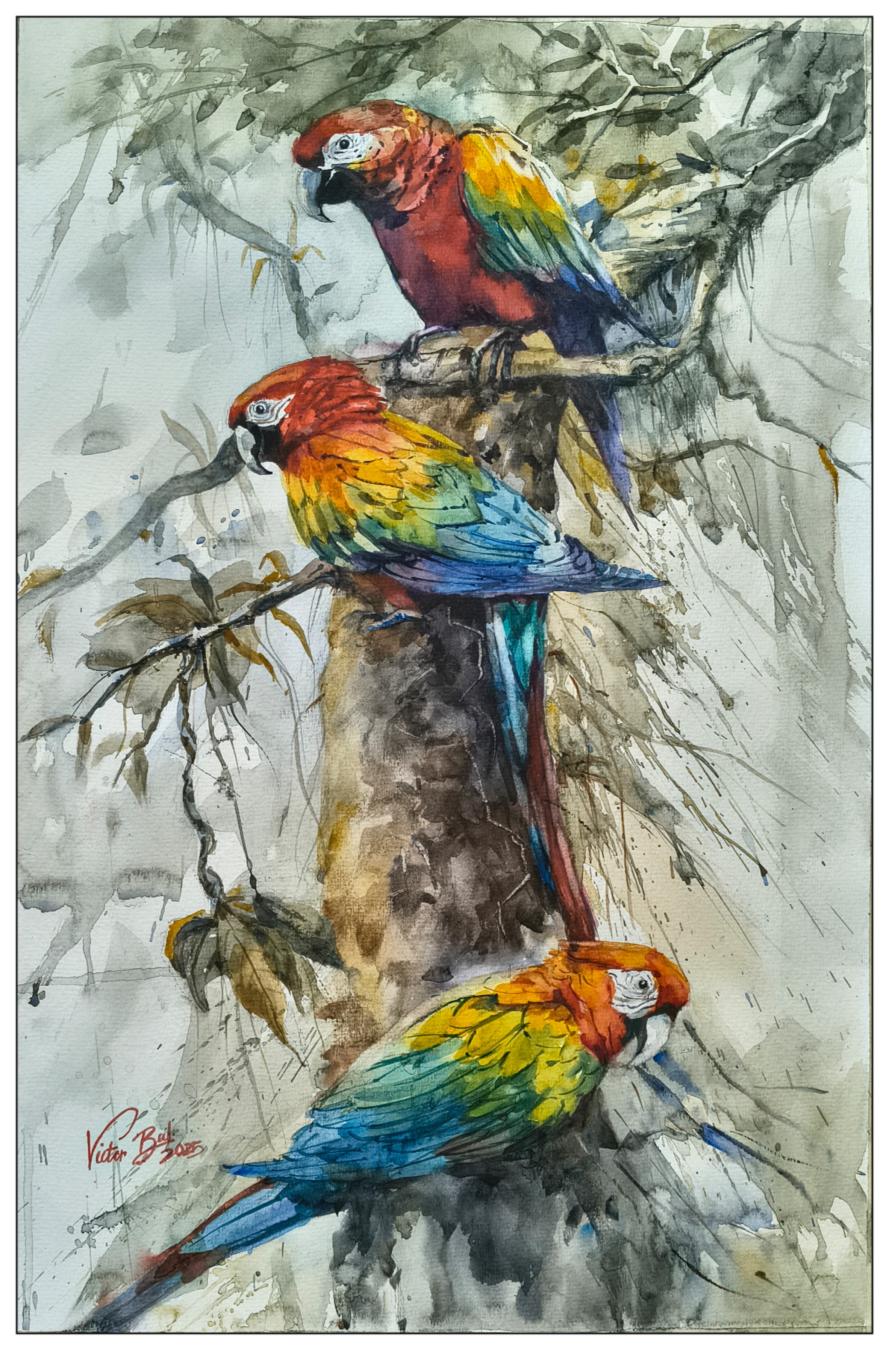 Bird series created by Victor Bal