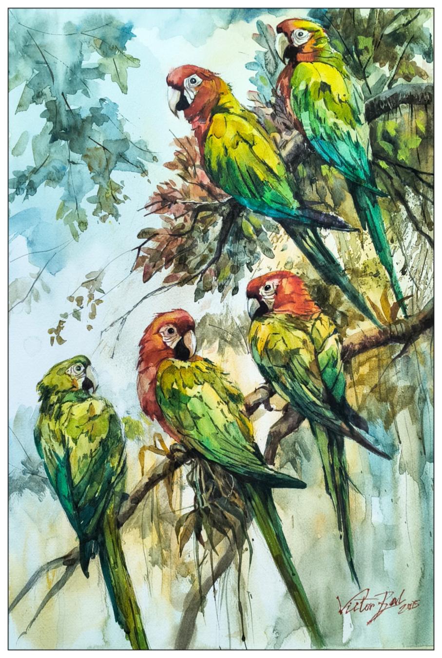 Bird series created by Victor Bal
