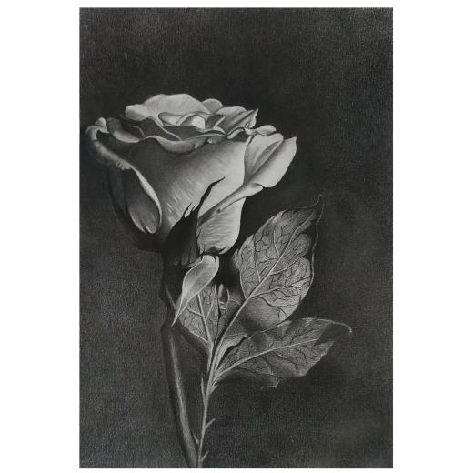 Rose created by Artist_ RK