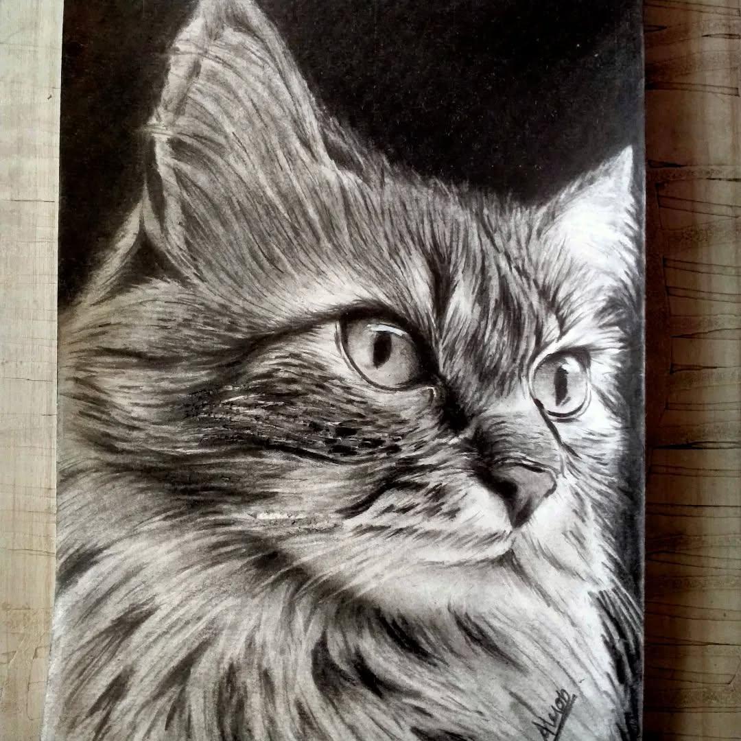 Cat Art created by Alron Lewis