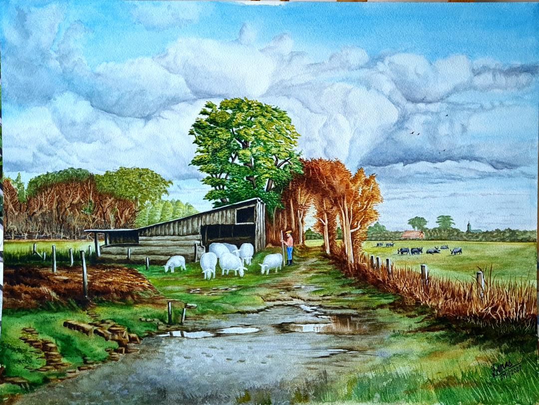 Landscape created by Zenas Christian