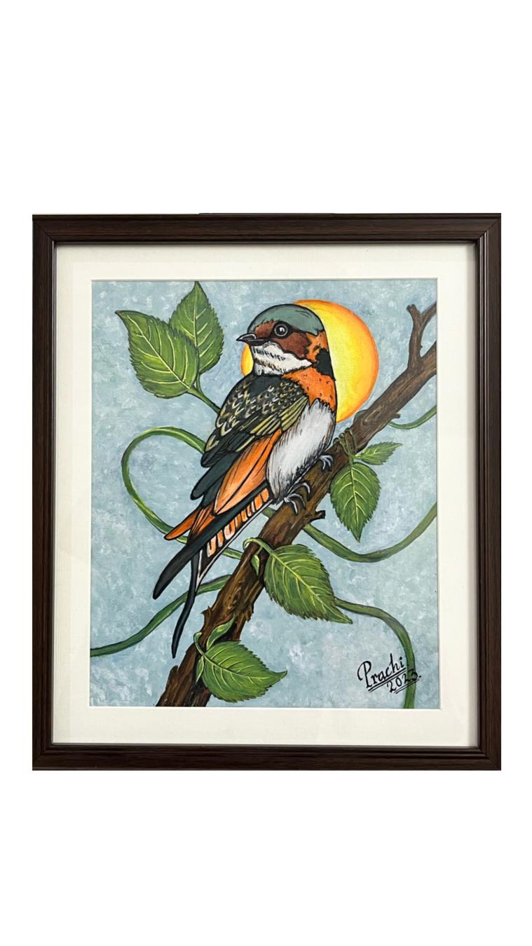 Fly is the sky created by Prachi Kothari