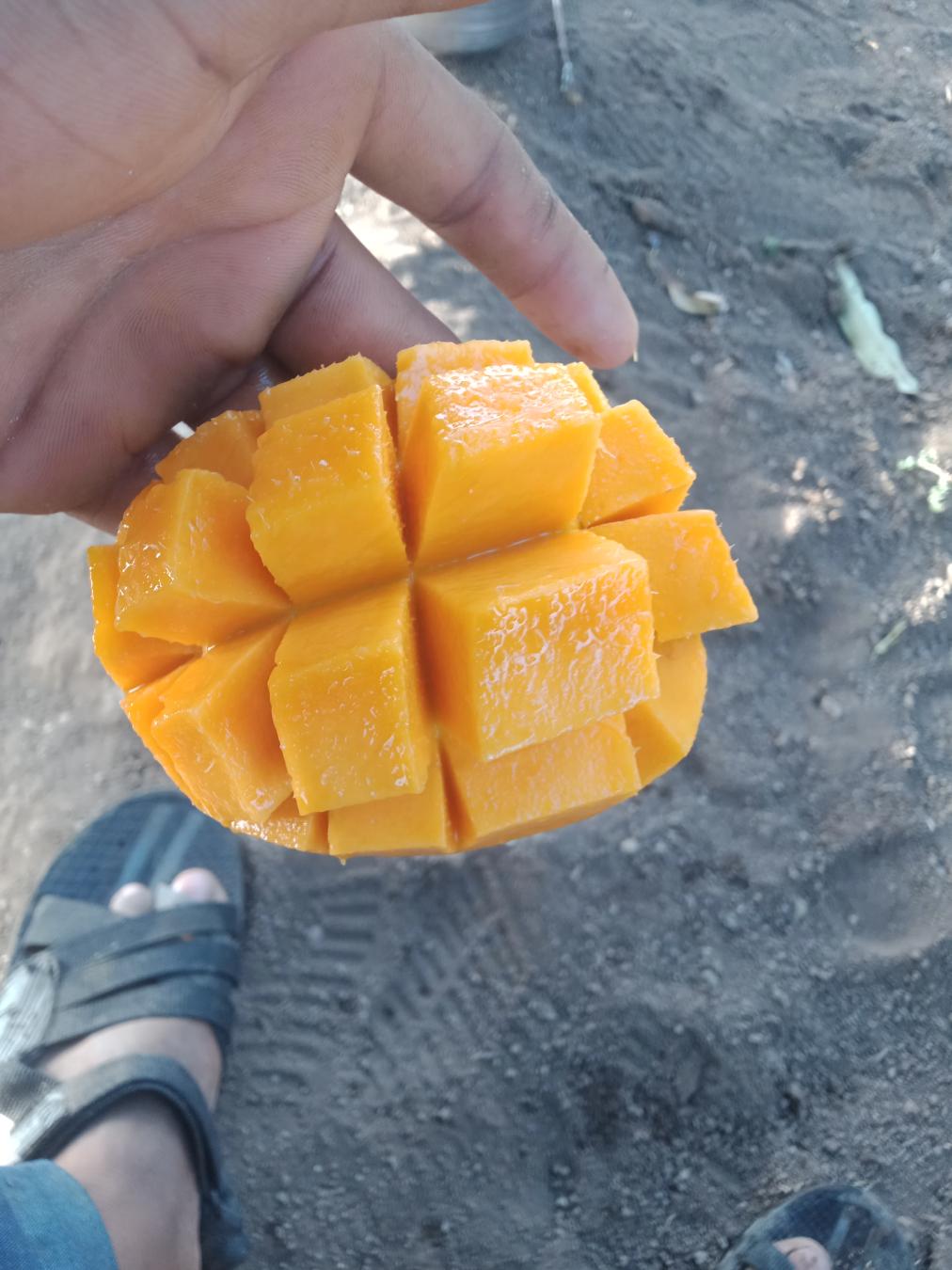 2335436 created by Rohit Solanki