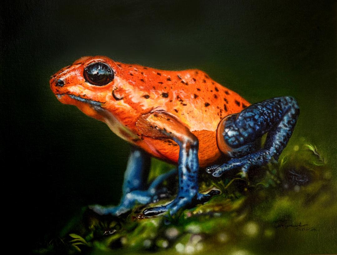 Hyper Realistic Frog created by PRAJAPATI RAVI