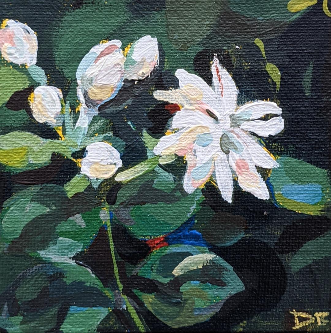 Mulla created by Dannet Bennichan