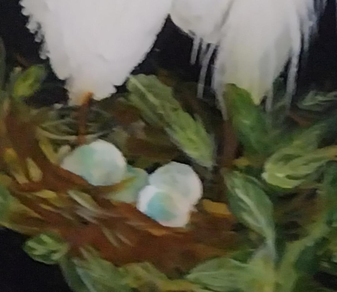 Great Heron/white Egret couple created by Nisha Singhal