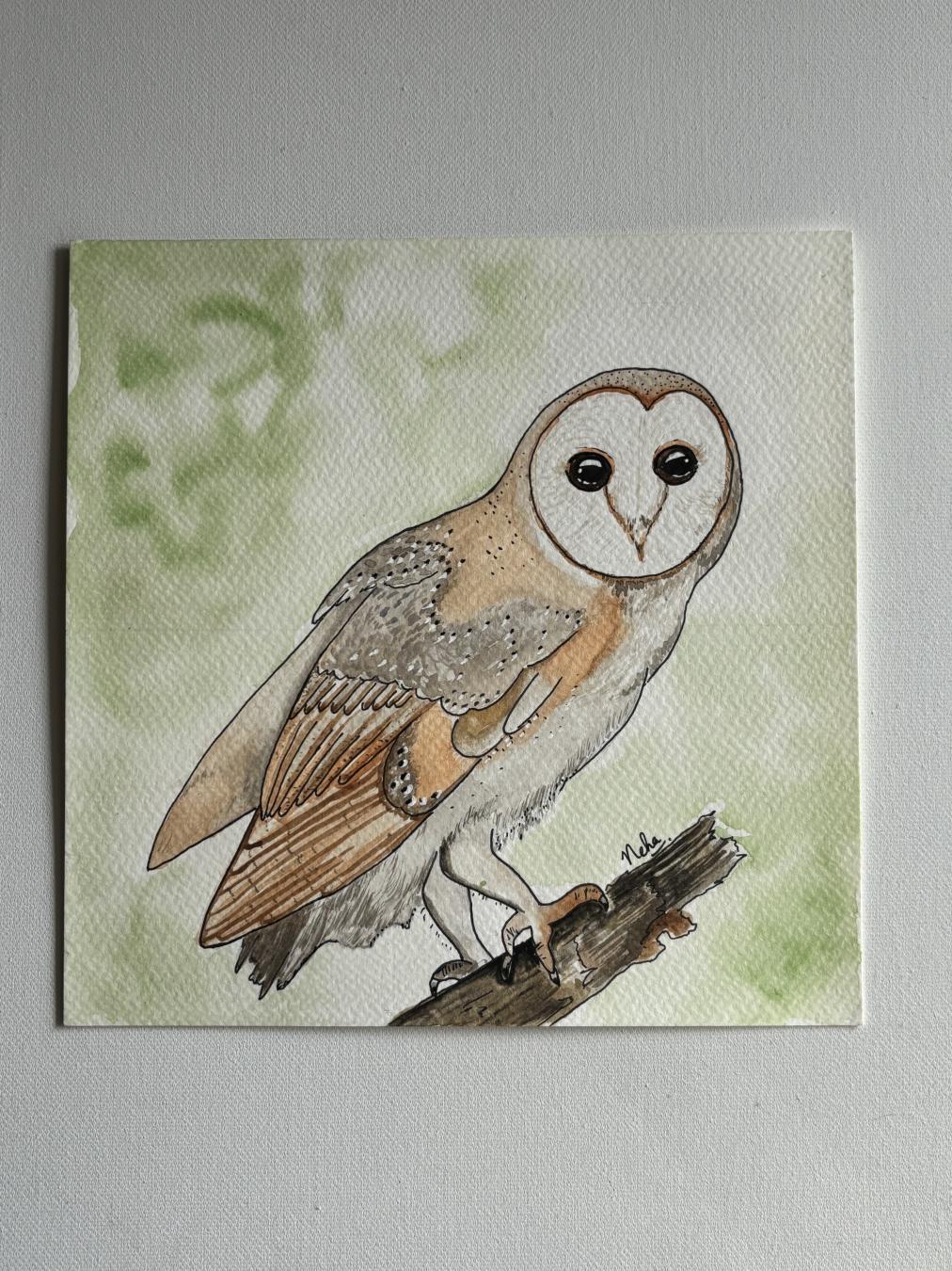 Natures watch created by Neha Tirkey