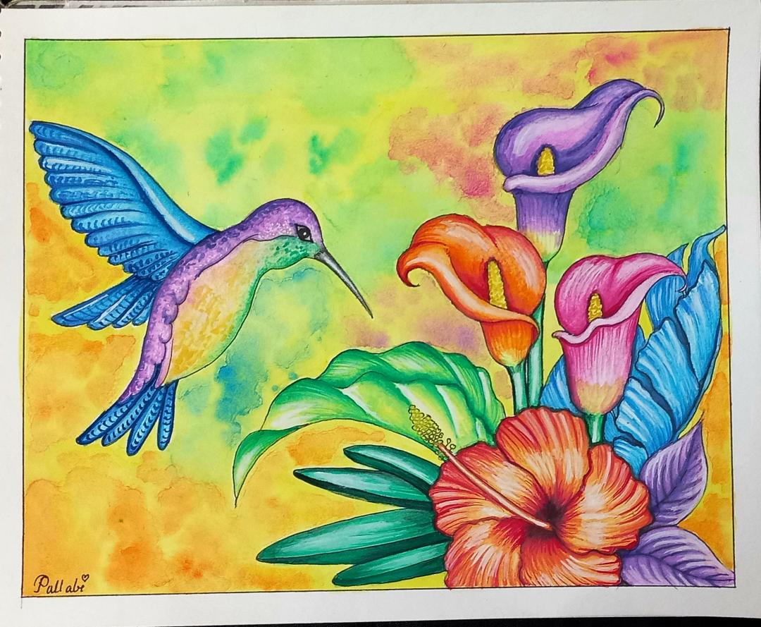 Colour blast created by Pallabi Chakravorty