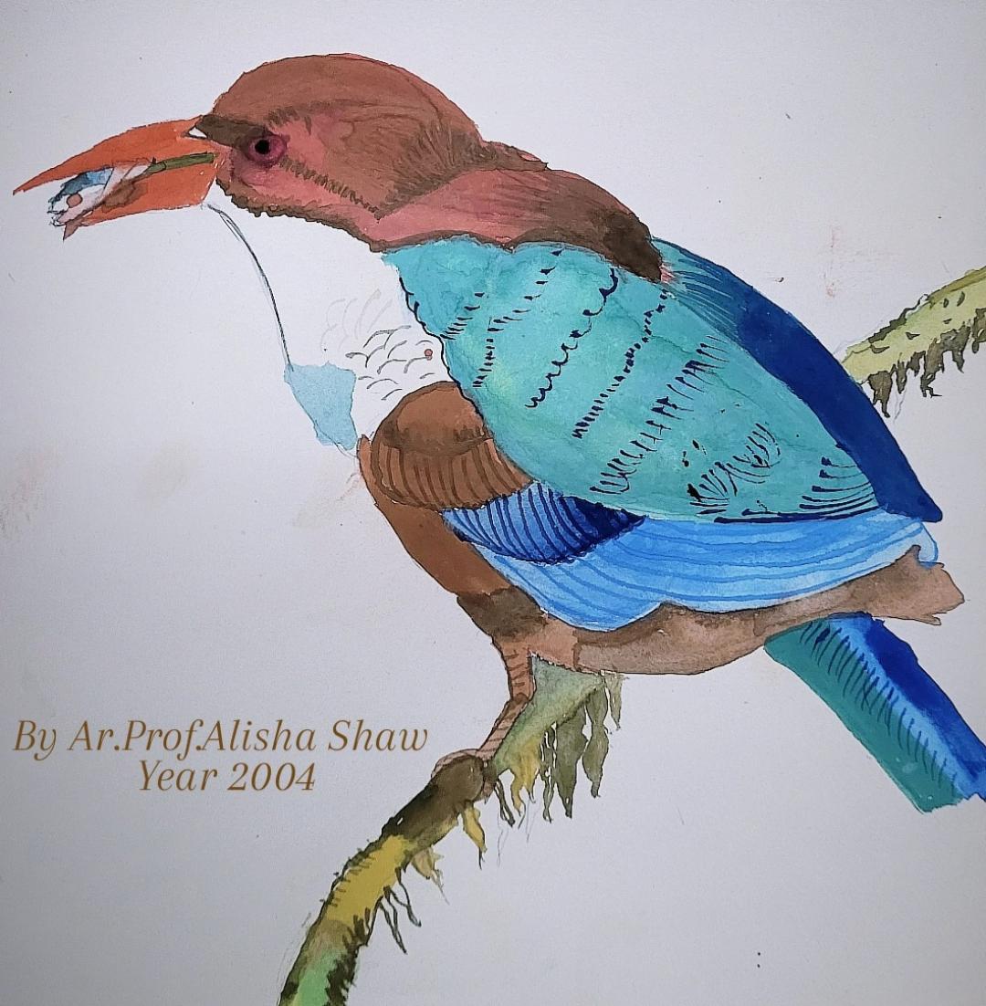 Birds of Nature by Ar.Prof.Alisha Shaw created by alisha shaw